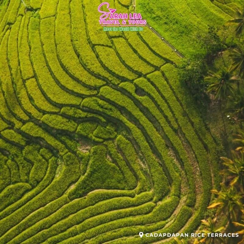 Bohol: Nature Discovery & Coastal Adventure Experience - The Value in Perspective