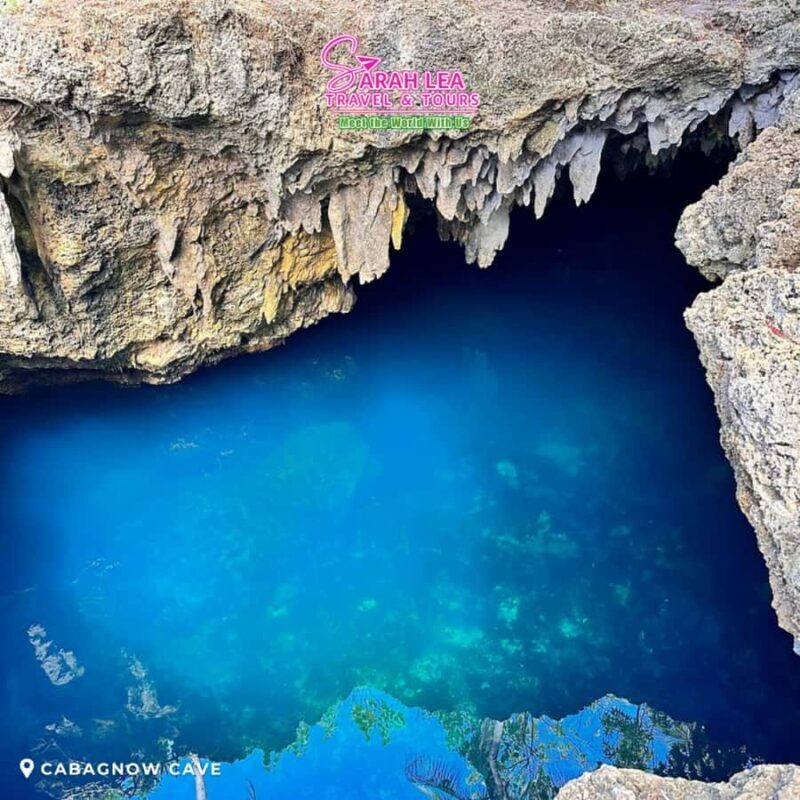 Bohol: Nature Discovery & Coastal Adventure Experience - Who Should Consider This Tour?