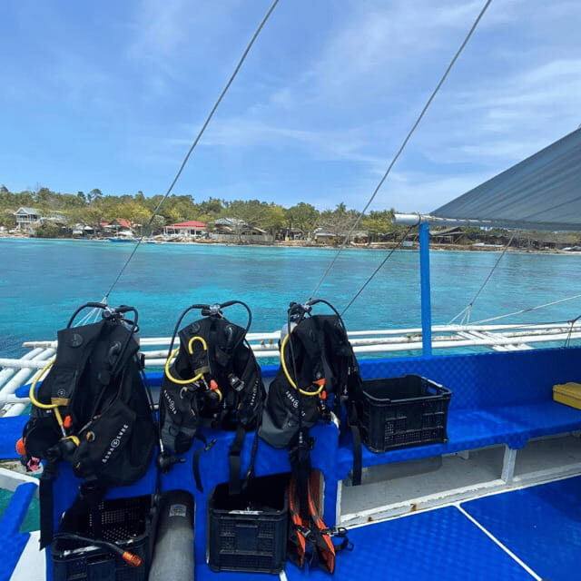 Bohol: Pamilacan Island Fun Dive Experience! - Final Thoughts