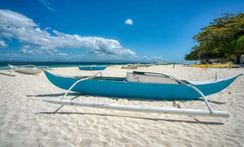 Bohol PAMILACAN Island Turtle & Dolphin Watching - Who Is This Tour Best For?