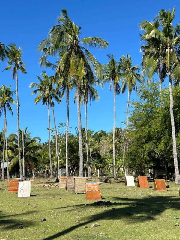 Bohol PAMILACAN Island Turtle & Dolphin Watching - Final Thoughts