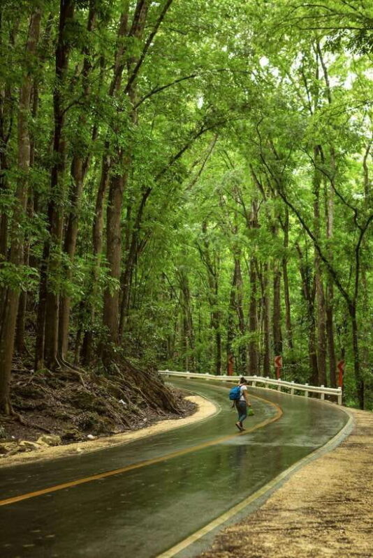 Bohol: Premium Chocolate Hills, Tarsiers & River Experience - Hotel Pickup & Transportation