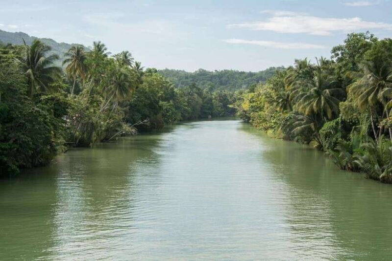 Bohol: Private Countryside Tour with Buffet Lunch - An Honest Look at the Bohol Private Countryside Tour