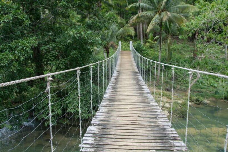 Bohol: Private Countryside Tour with Buffet Lunch - Duration & Timing