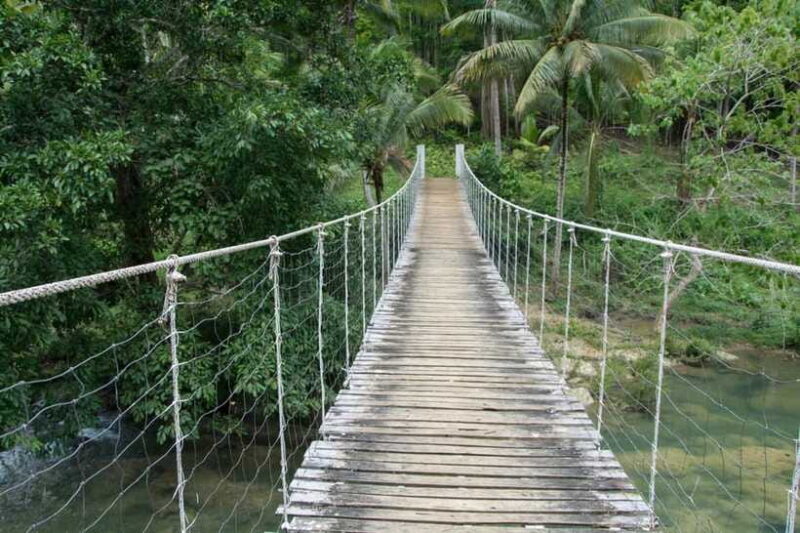 Bohol: Private Countryside Tour with Buffet Lunch - Authentic Experiences & Genuine Value