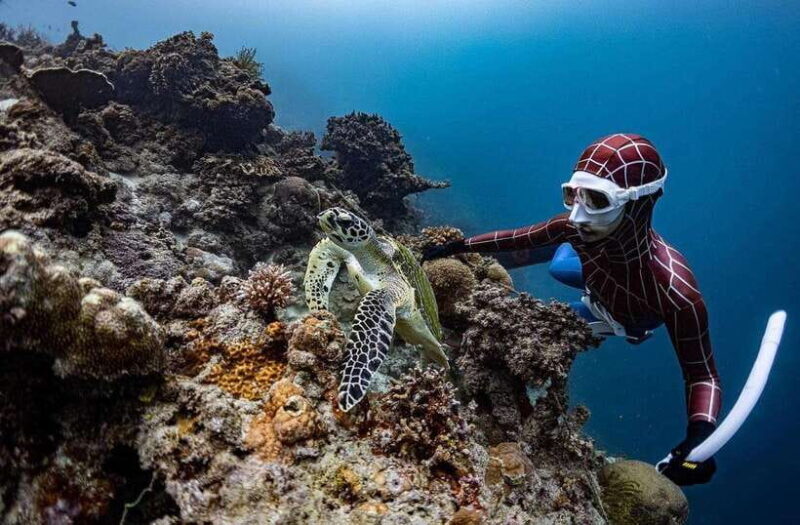 Bohol: Private Sardine Snorkel & Tropical Fish Tour - Authentic Experiences and Review Highlights