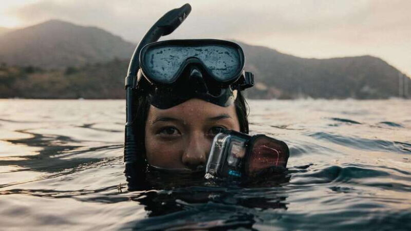 Bohol: Private Sardine Snorkel & Tropical Fish Tour - Who Should Consider This Tour?