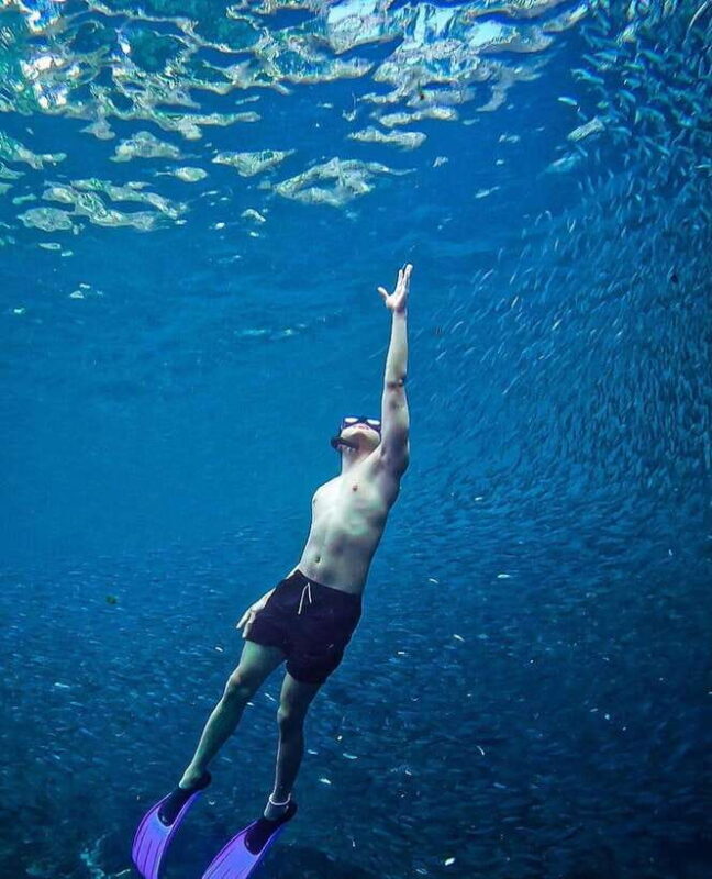Bohol: Private Sardine Snorkel & Tropical Fish Tour - Conclusions