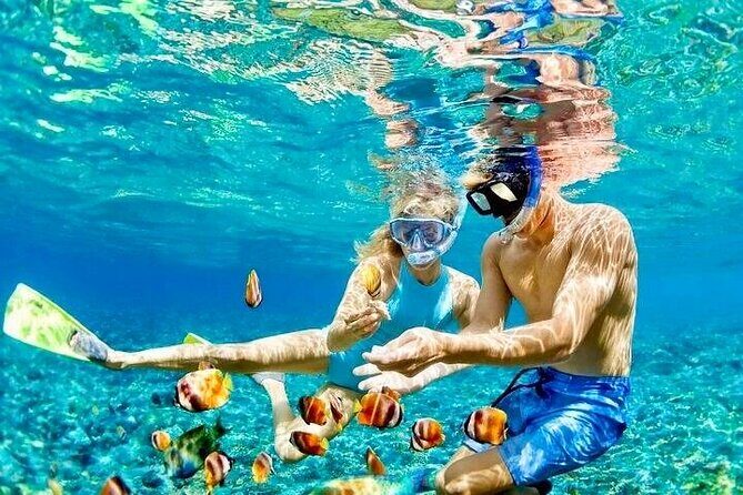 Bohol Province Balicasag Island Day Tour - The Itinerary: A Day Packed with Marine Magic