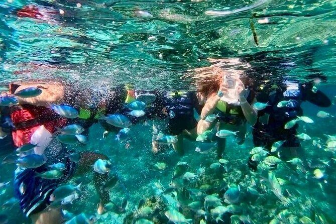 Bohol Province Balicasag Island Day Tour - What’s Included and What’s Not