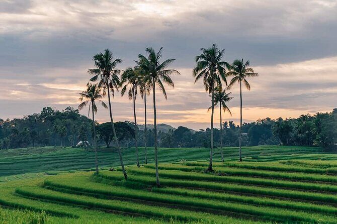 Bohol Scenic Nature Tour Anda Beach and Candijay - FAQ