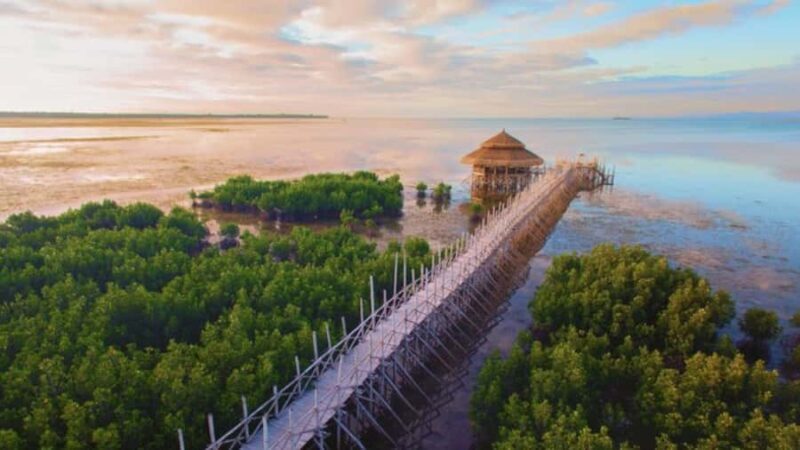 Bohol Sunset & Stories: A Bohol Evening Escape - Key Points