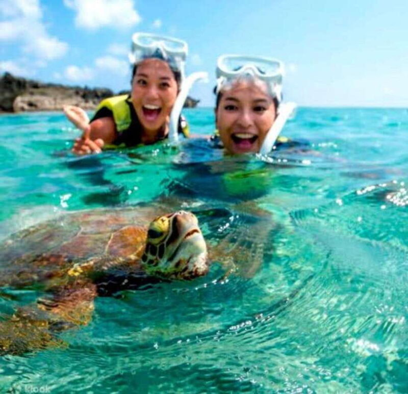 Bohol: Swim with Sea Turtles & Dolphins Island Hopping Tour - A Deep Dive into the Experience