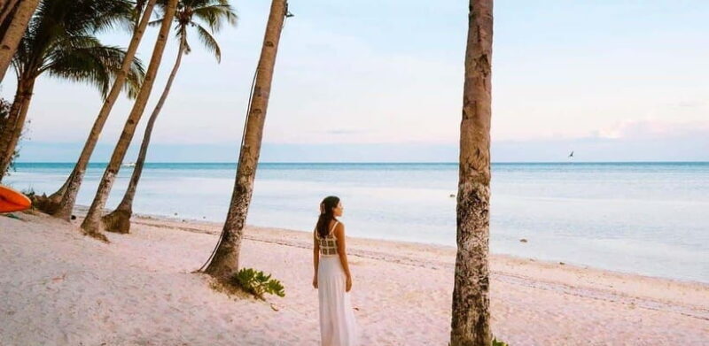 Bohol: Swim with Sea Turtles & Dolphins Island Hopping Tour - The Sum Up: Why This Tour Is Worth Considering