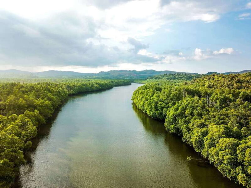 Bohol Tour Package: 3-Day Paradise Adventure - The Sum Up