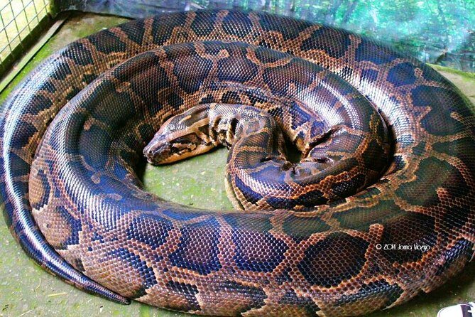 Bohol Tour with Bike Zip Adventure - The Itinerary in Detail