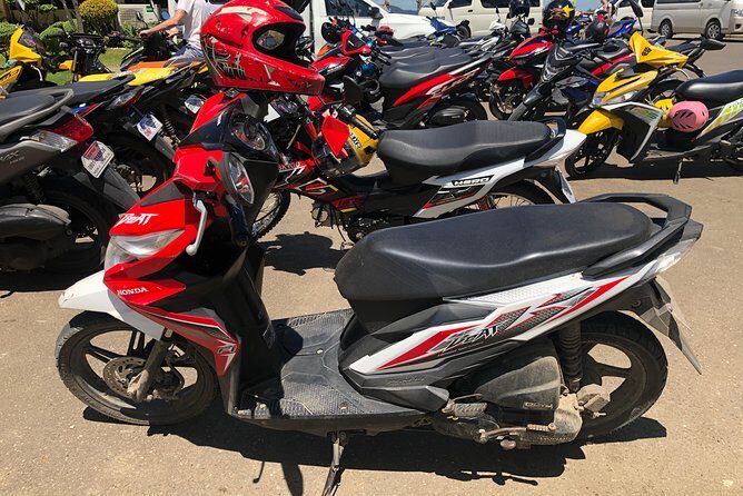 Bohol: Transport - Car-Van-MotorBike-Boat - Key Points