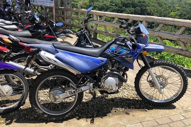 Bohol: Transport - Car-Van-MotorBike-Boat - FAQs