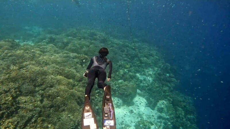 Bohol: Turtle Sanctuary Snorkeling Boat Tour with Lunch - What to Expect from the Tour