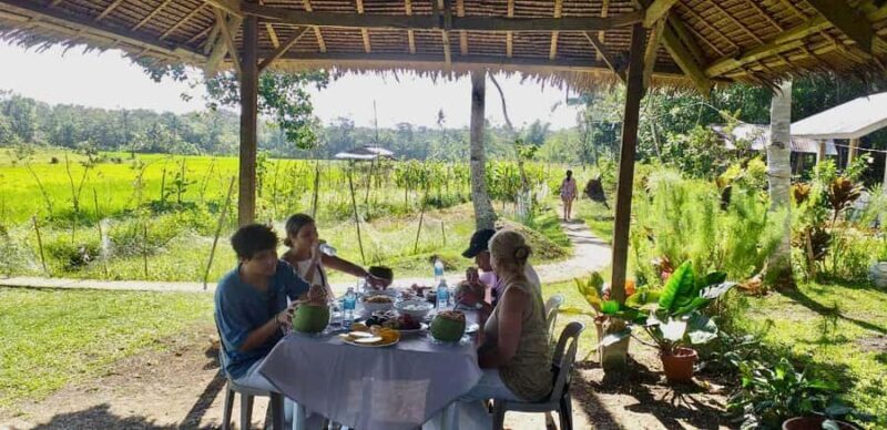 Bohol: Waterfalls, Kayak, Hills Hike, & Tarsier Eco Tour - A Deep Dive into the Bohol Eco Tour