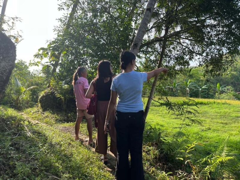 Bohol: Waterfalls, Kayak, Hills Hike, & Tarsier Eco Tour - The Sum Up