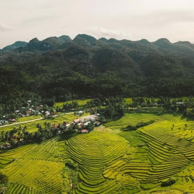 Bohol Waterfalls Tour with Lunch - The Bottom Line: Is It Worth It?