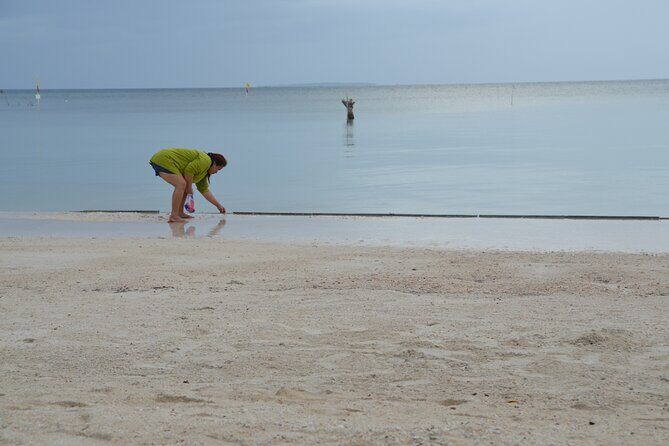 Bohol's Panglao Island Half Day Land & Half Day Island Hopping (Cebu or Bohol) - The Practical Side