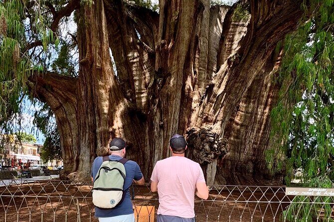 Boil water, Mitla, Teotitlan, Mezcal and more - Who Will Love This Tour?