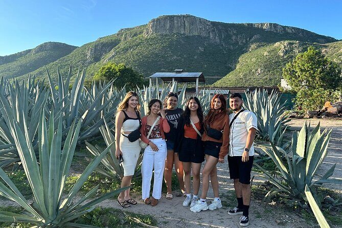 Boil Water,Tube Tree,Mitla,Mezcal and Teotitlan Valley - The Sum Up