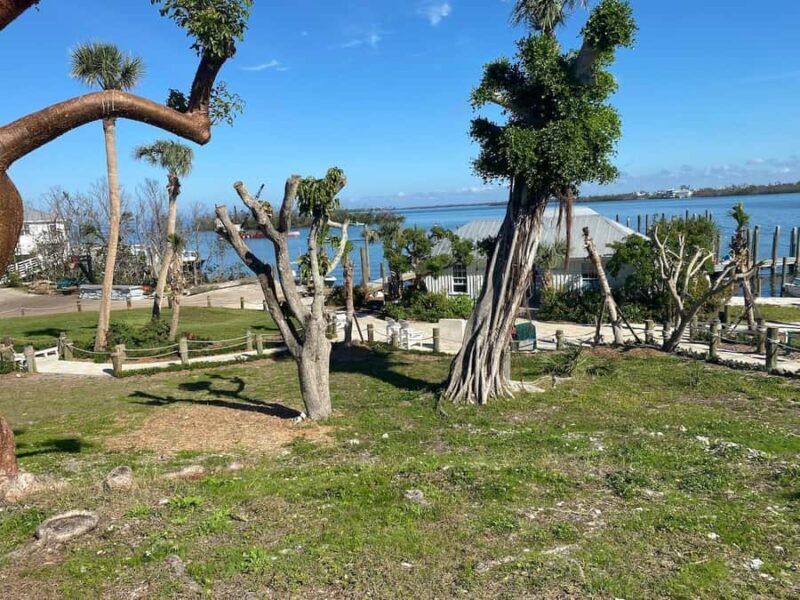 Bokeelia: Cabbage Key Nature Cruise - FAQ