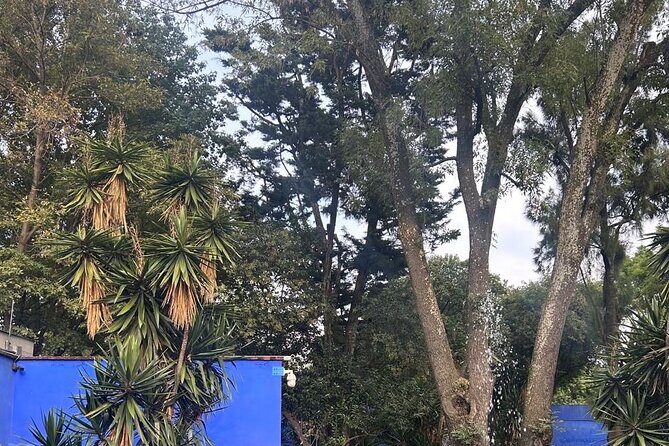 Boletos al Museo Frida Kahlo - An In-Depth Look at the Tour Itinerary