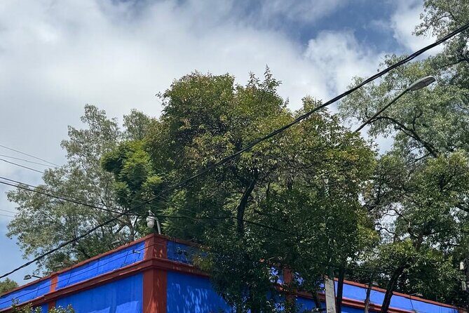 Boletos al Museo Frida Kahlo - FAQs