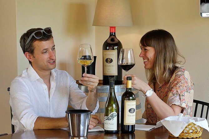 Bolgheri: Sensorial Wine Tasting with Winery Tour - Price and Value Analysis