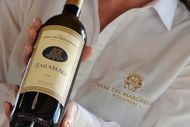 Bolgheri: Sensorial Wine Tasting with Winery Tour - The Sum Up: Who Should Consider This Tour?