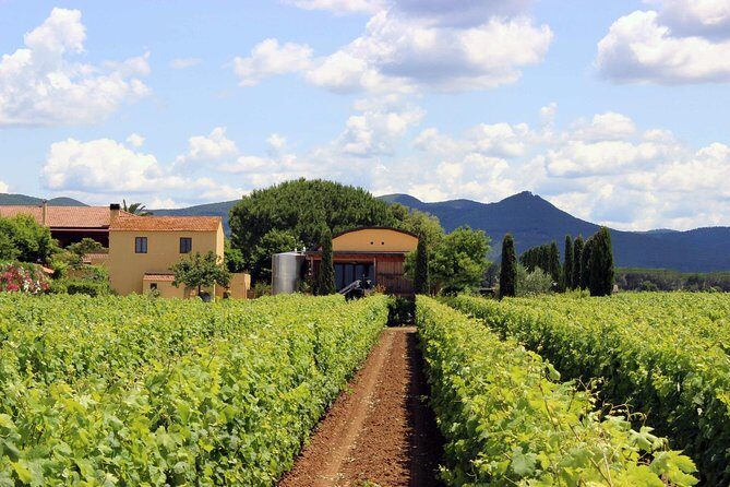 Bolgheri: Sensorial Wine Tasting with Winery Tour - FAQ