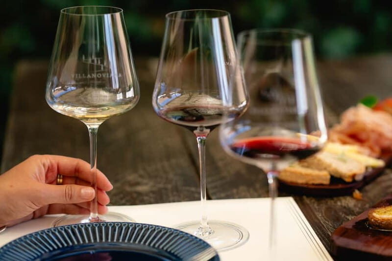 Bolgheri: Tour with wine tasting at Villanoviana - Key Points