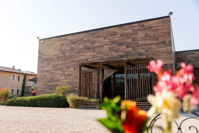 Bolgheri: Tour with wine tasting at Villanoviana - What We Loved About the Tour