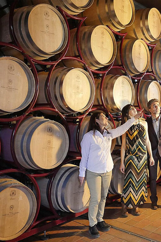 BOLGHERI: Vertical Wine-tasting at Terre del Marchesato - Practical Tips
