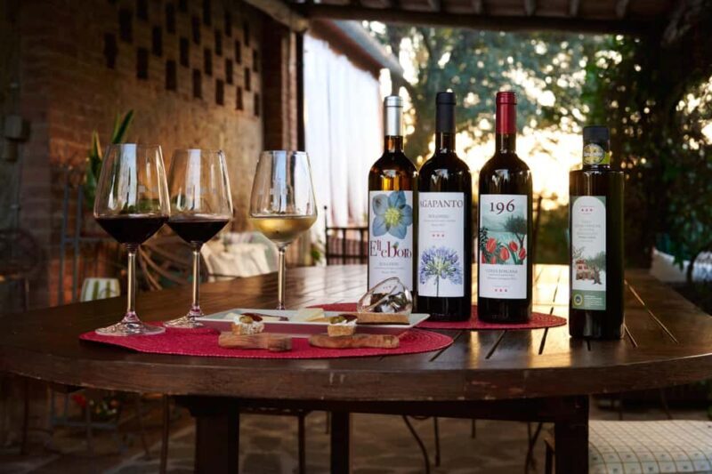 Bolgheri: Wine tasting at Podere Conca - Key Points