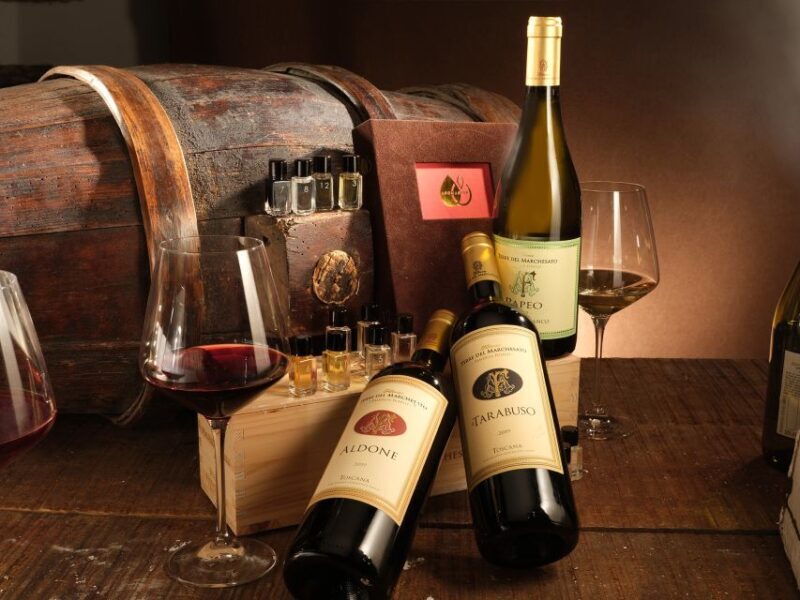 Bolgheri: Winery Tour with Wine Tasting - Authentic Feedback from Tour Participants