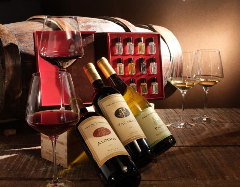 Bolgheri: Winery Tour with Wine Tasting - Who Will Love It?