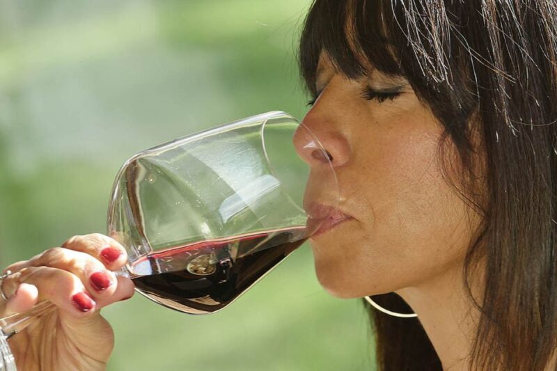 Bolgheri: Winery Tour with Wine Tasting - Final Thoughts