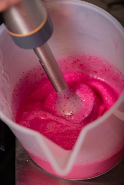 Bologna Casalecchio: Private Gelato class with rich tasting - The Experience in Practice