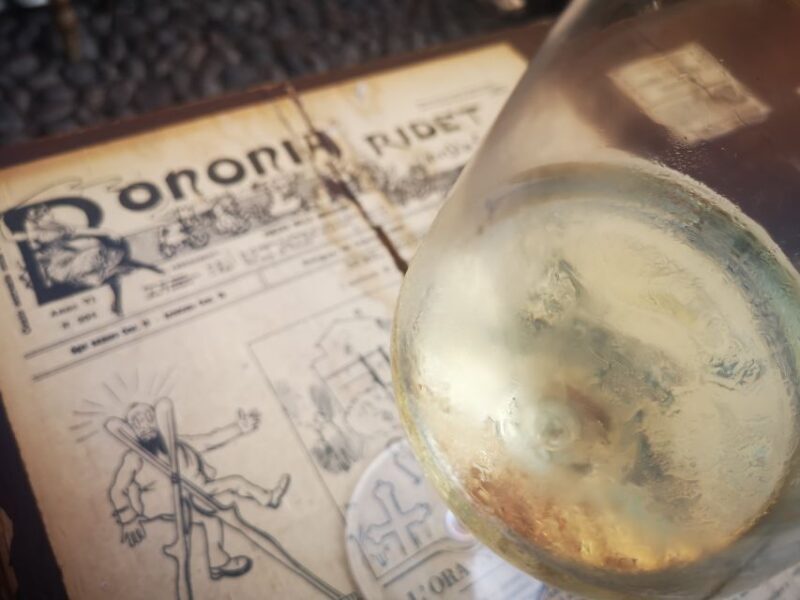 Bologna: City Center Guided Wine Walking Tour - Key Points