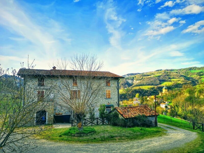 Bologna Forlì: Farm cooking class and Slow food market tour - FAQ