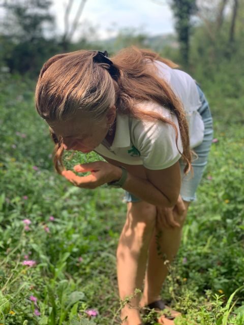 Bologna Forlì: foraging, looking for wild edible herbs - The Itinerary in Detail