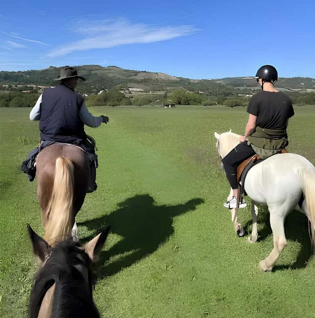 Bologna: Horseback Ride in the Bolognese Hills - Practical Tips for Participants