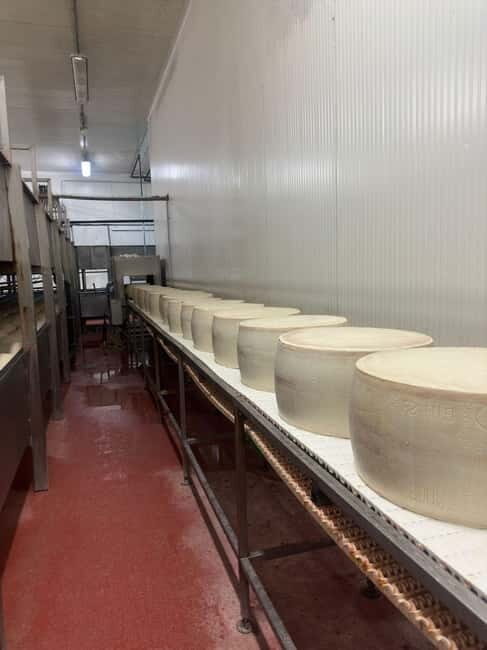 Bologna/Modena: Parmesan,Ferrari, Balsamic,Wine Tour w/Lunch - How the Experience Feels and Who It’s For