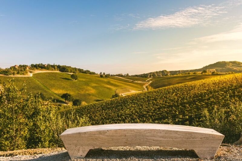 Bologna: Olive Grove and Vineyard Tour with Product Tastings - Exploring Bologna’s Olive Grove and Vineyard Experience