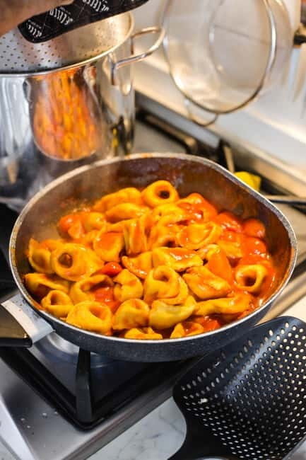 Bologna on the plate : grandma's recipes and secrets - Key Points